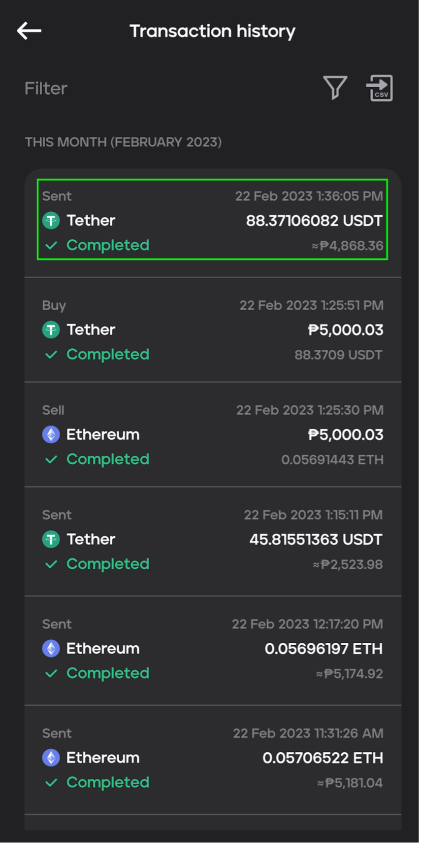 How do I check if the crypto I sent was successful?