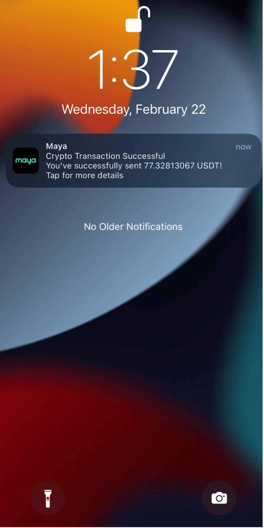 How do I check if the crypto I sent was successful?